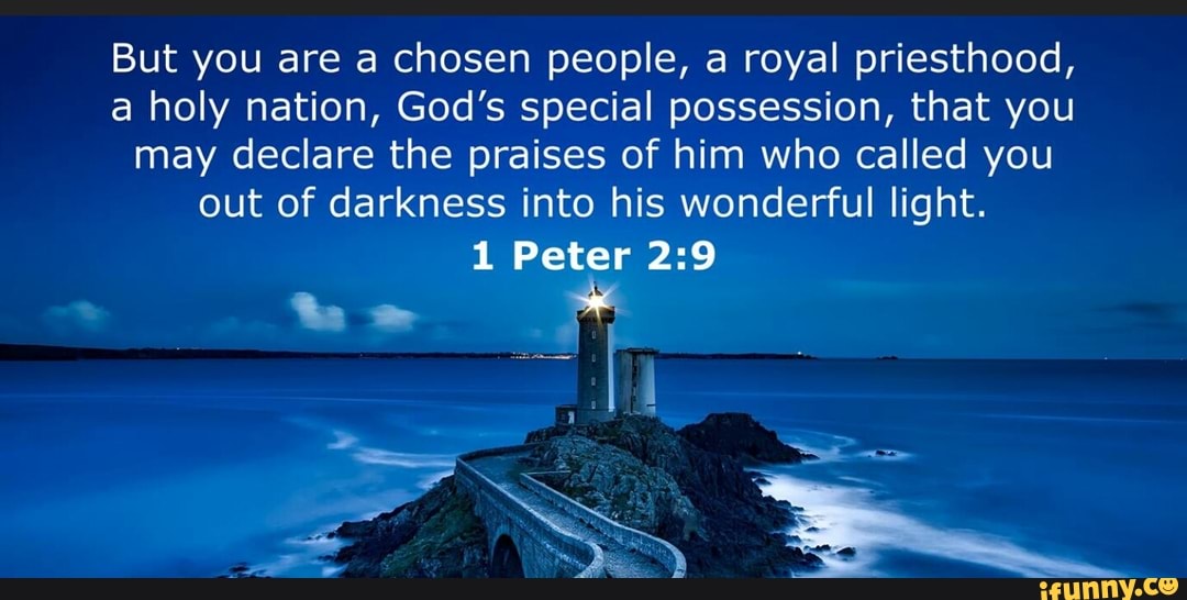 But you are a chosen people, a royal priesthood, a holy nation, God's ...