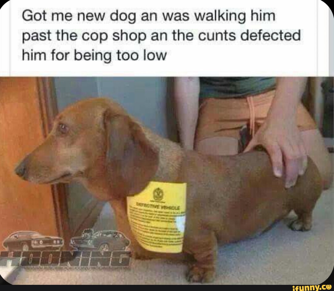 Defected memes. Best Collection of funny Defected pictures on iFunny