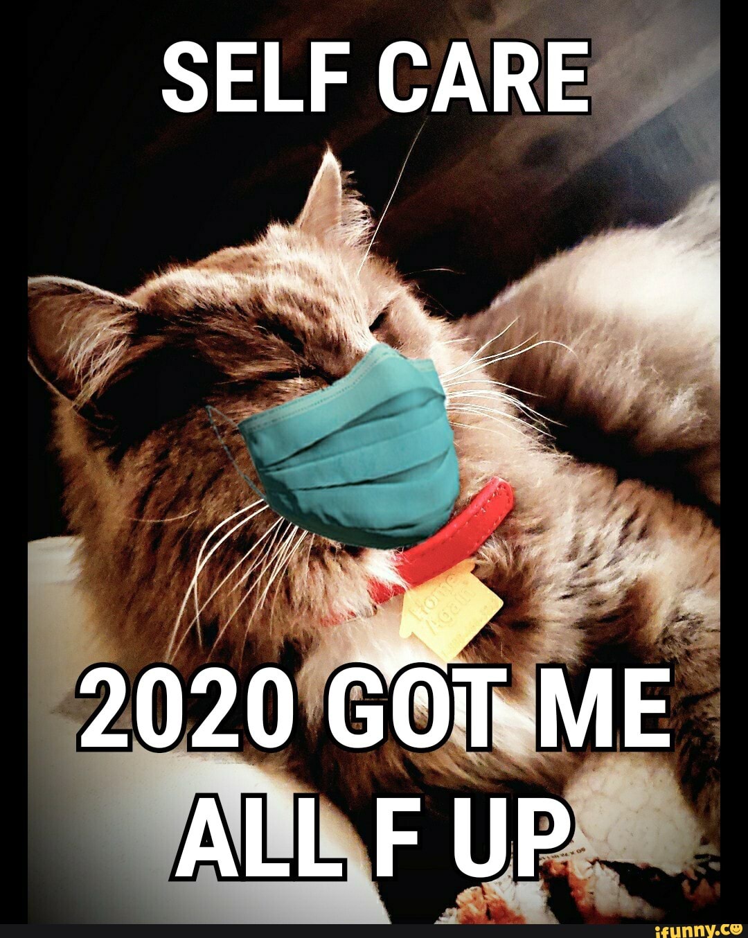 Patito memes. Best Collection of funny Patito pictures on iFunny