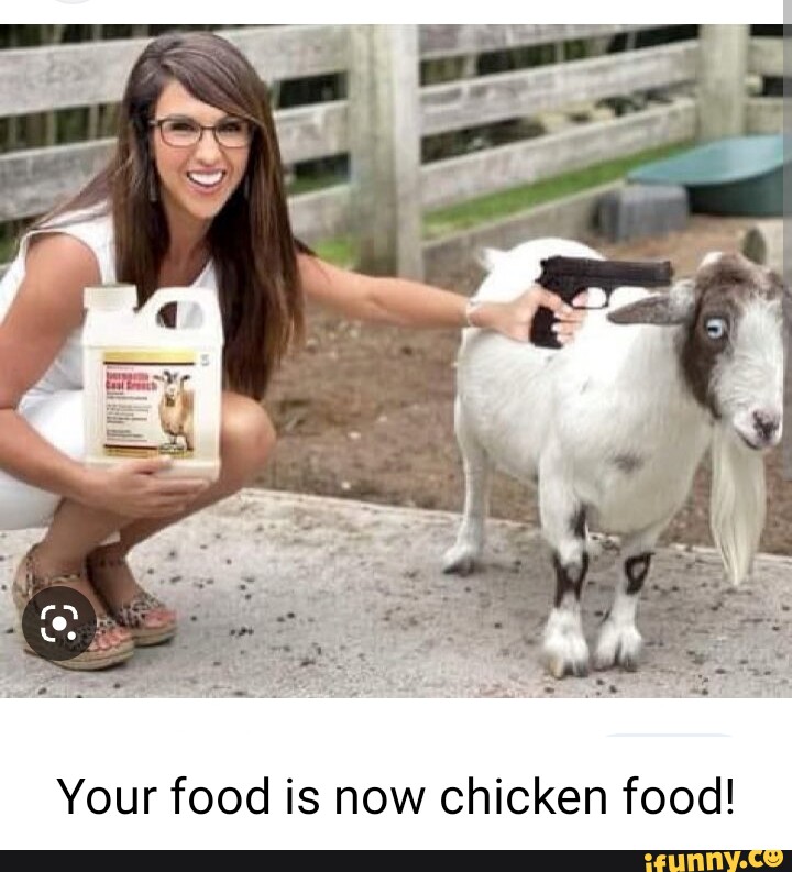 Fa Your food is now chicken food! - iFunny