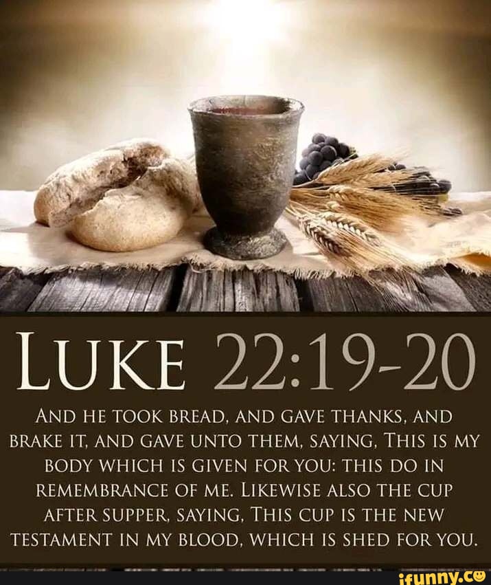 Shed memes. Best Collection of funny Shed pictures on iFunny