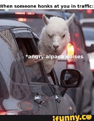 Angry Alpaca