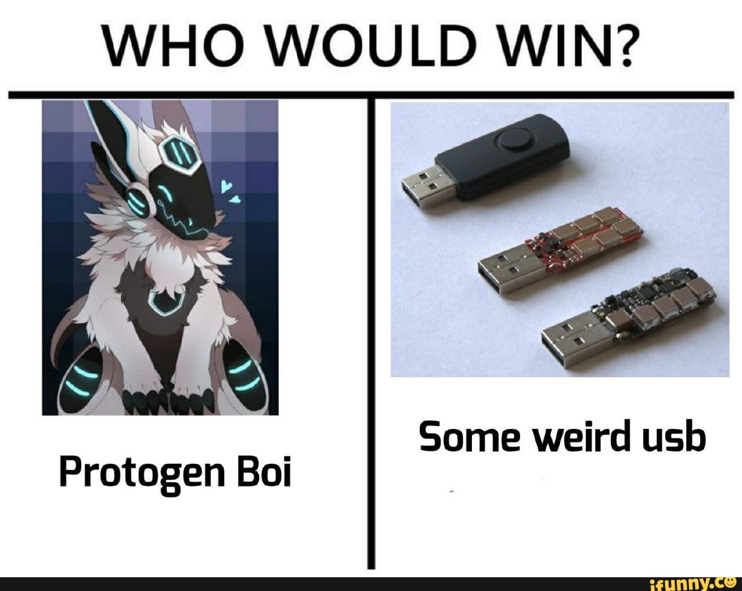 WHO WOULD WIN? Y É Some weird usb Protogen Boi - iFunny