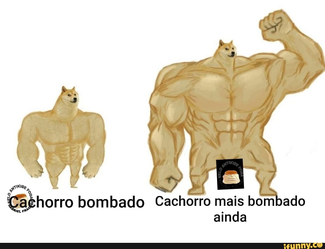 Cachorro bombado Cachorro mais bombado - )