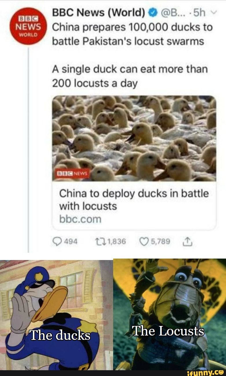 BBC News (World) @ @B... China prepares 100,000 ducks to battle ...