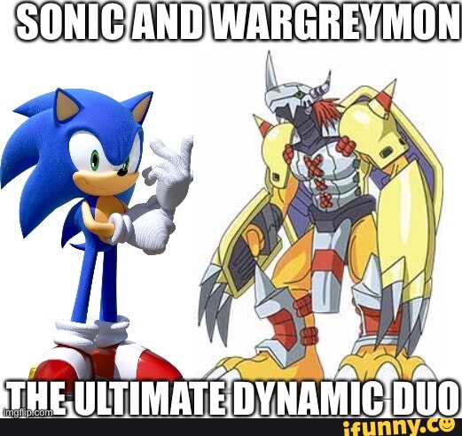 SONIC THE. ULTIMATE DYNAMIC DUO - iFunny