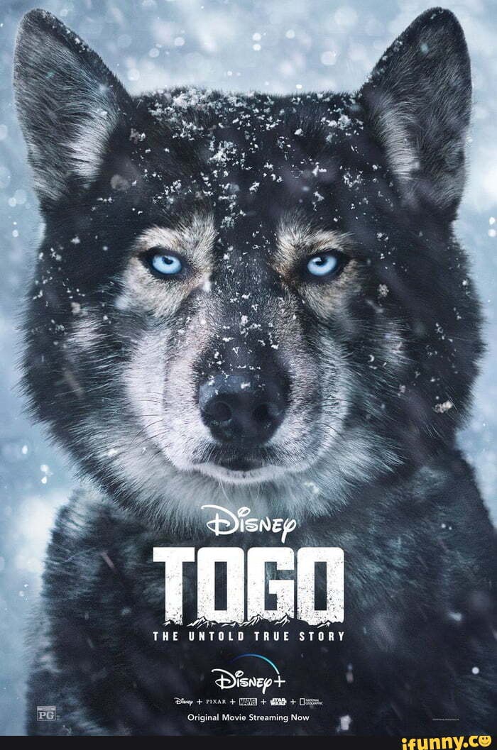 Balto memes. Best Collection of funny Balto pictures on iFunny