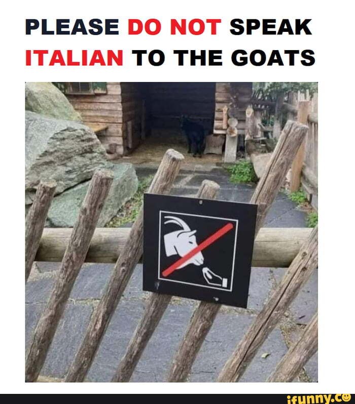 Capiche memes. Best Collection of funny Capiche pictures on iFunny