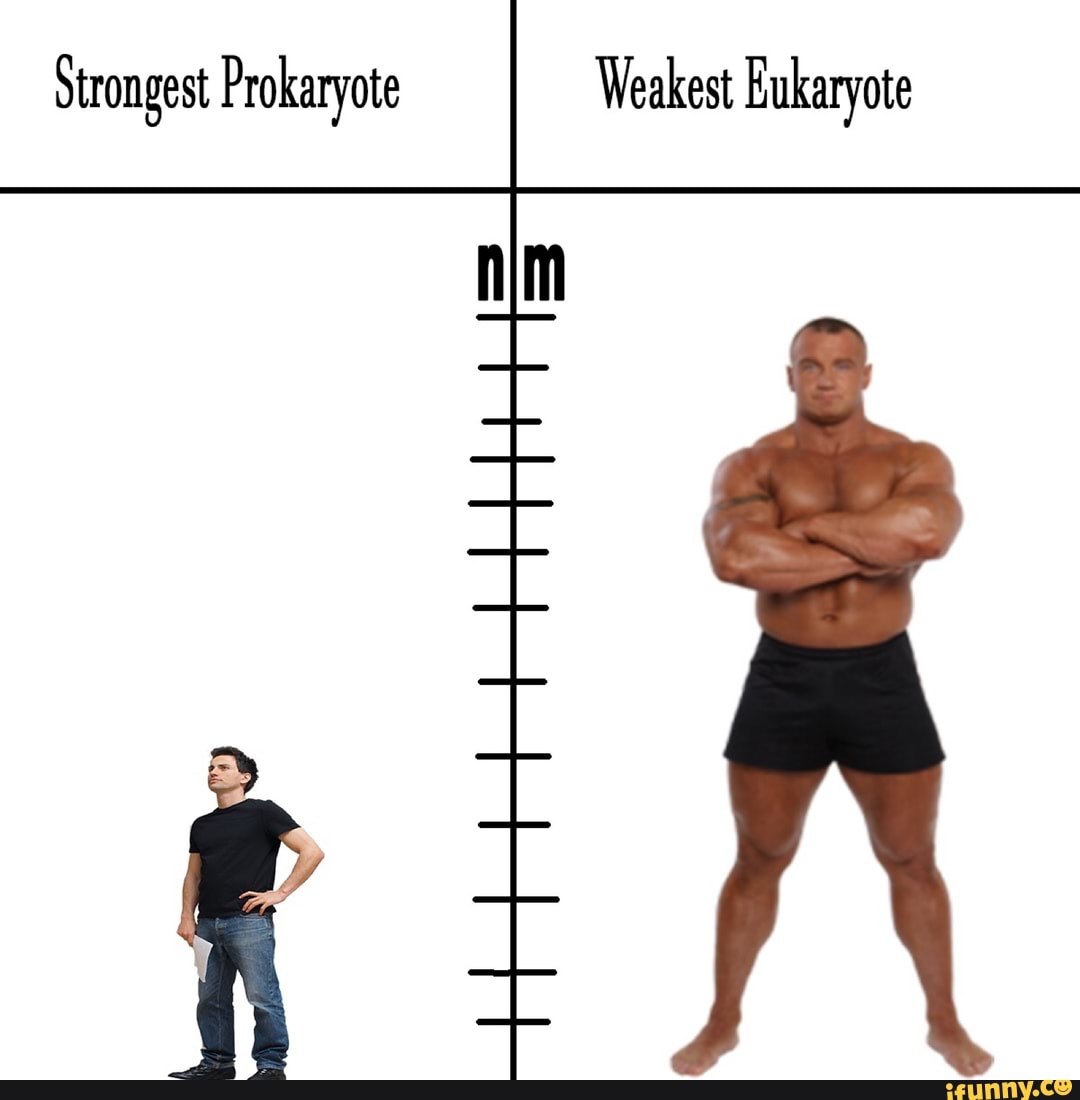 Prokaryote memes. Best Collection of funny Prokaryote pictures on iFunny
