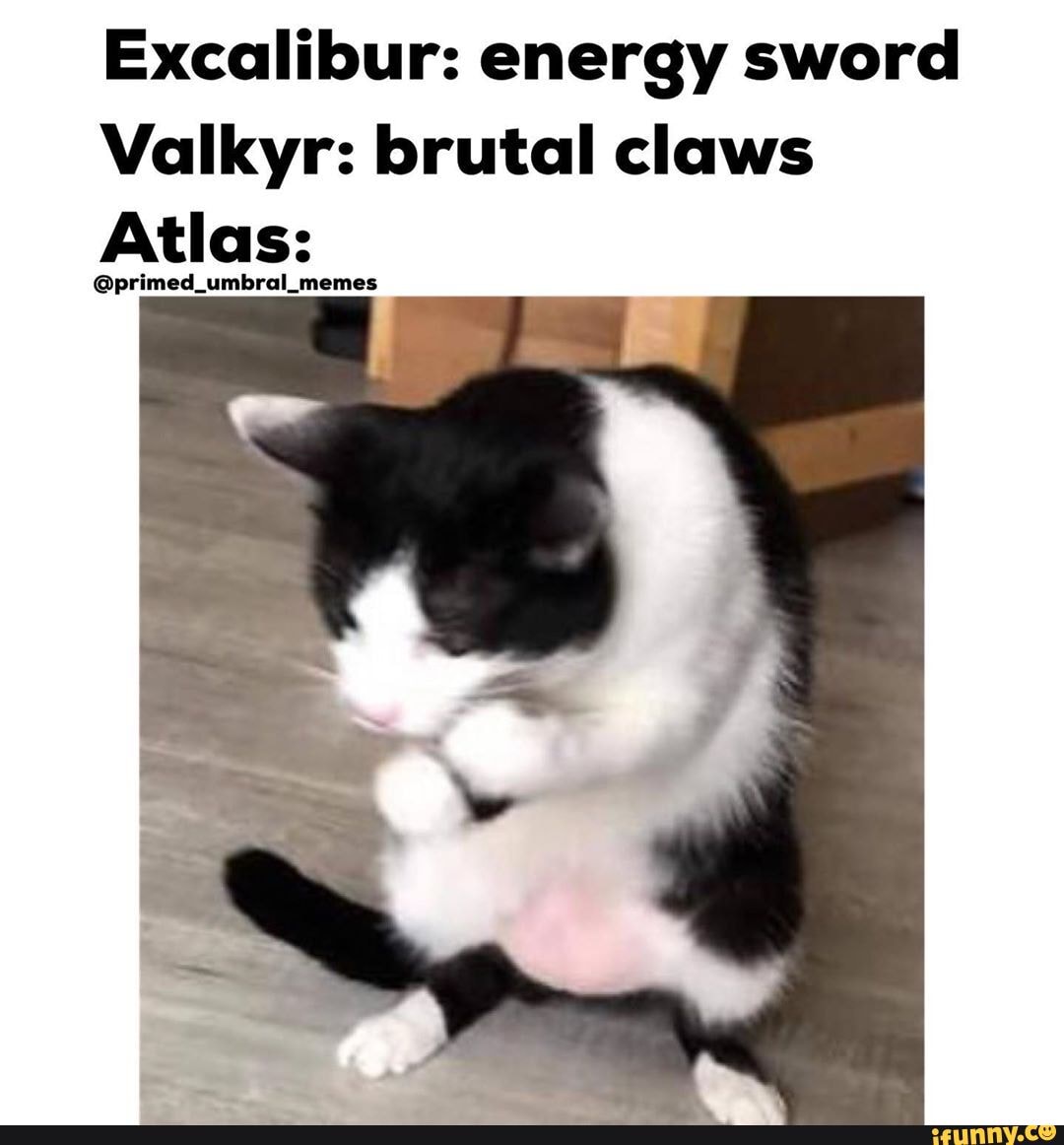 Excalibur: energy sword Valkyr: brutal claws Atlas @primed_umbral_memes ...