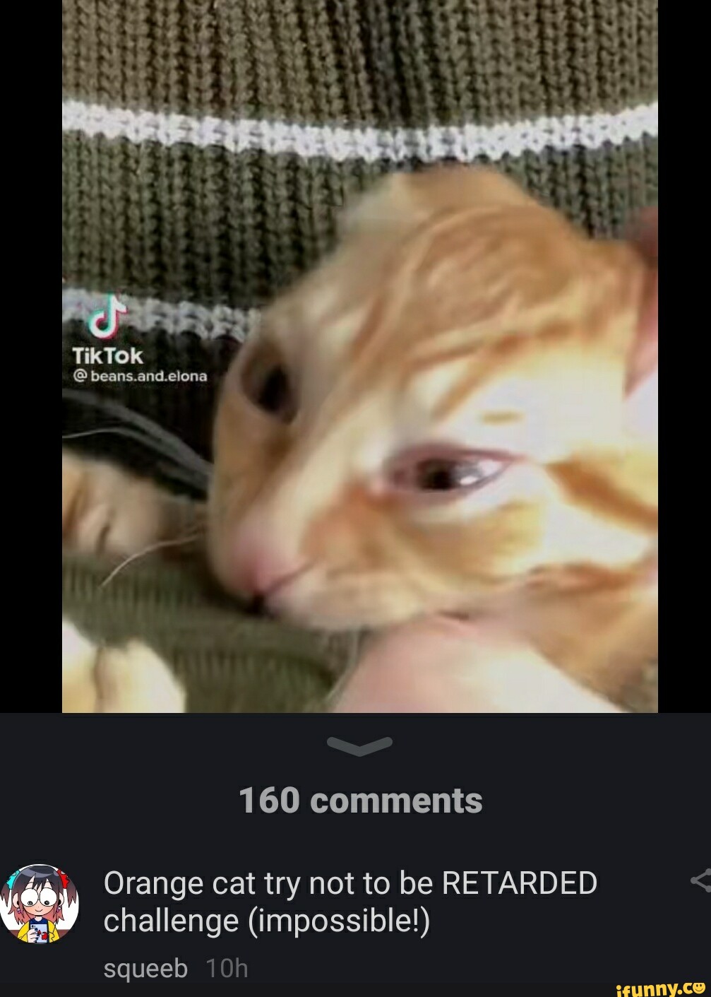 Video memes kfNcRrbJA by BidoofMyBeloved: 1 comment - seo.title