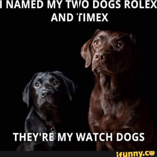 Timex memes. Best Collection of funny Timex pictures on iFunny