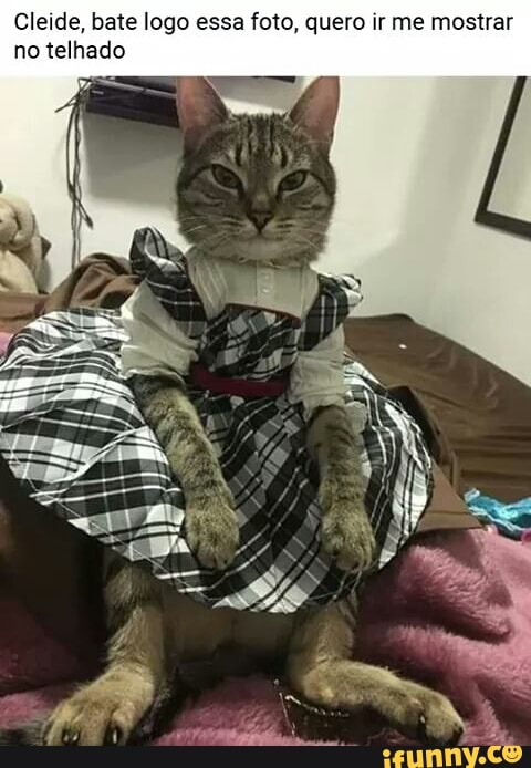 Cleide, bate logo essa foto, quero ir me mostrar no telhado - iFunny