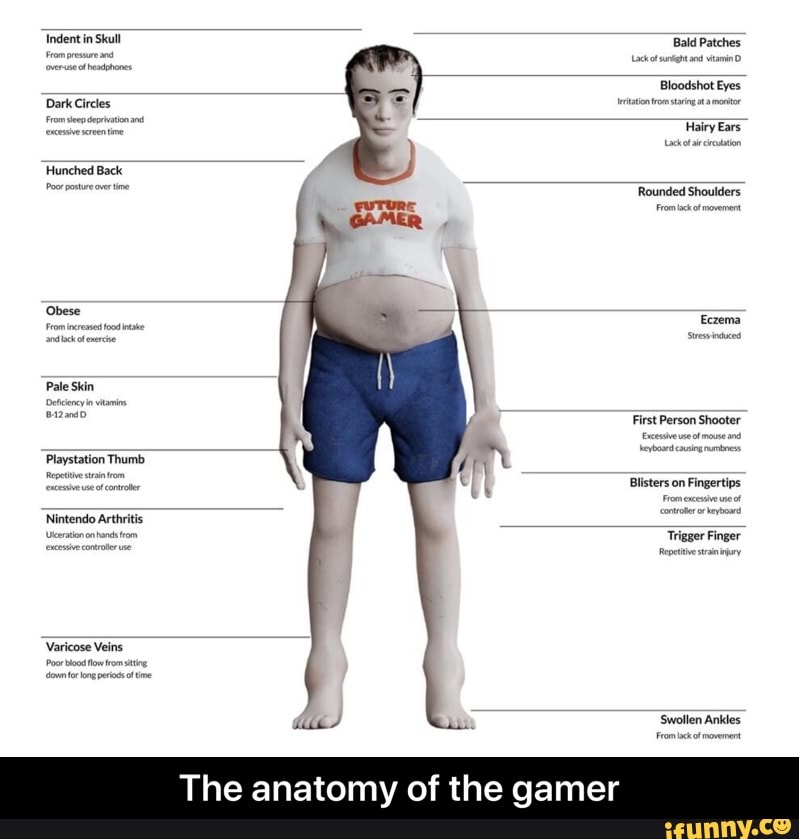 The anatomy of the gamer - The anatomy of the gamer - iFunny