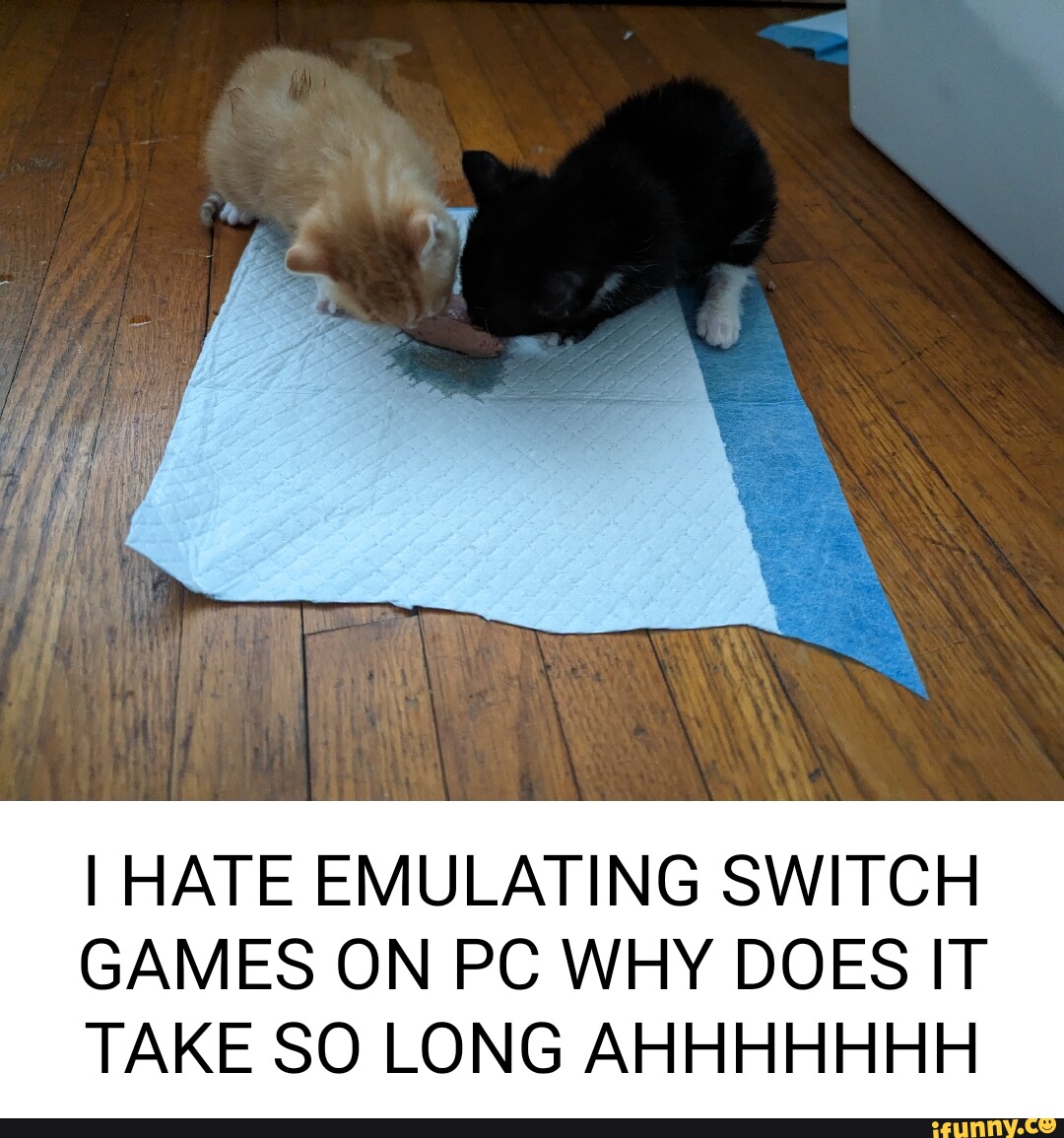 I HATE EMULATING SWITCH GAMES ON PC WHY DOES IT TAKE SO LONG AHHHHHHH ...