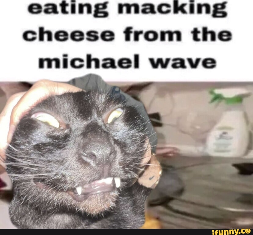 Macking memes. Best Collection of funny Macking pictures on iFunny