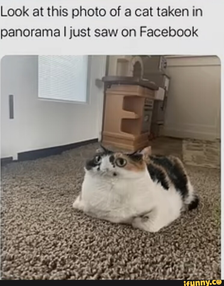 Panorama memes. Best Collection of funny Panorama pictures on iFunny