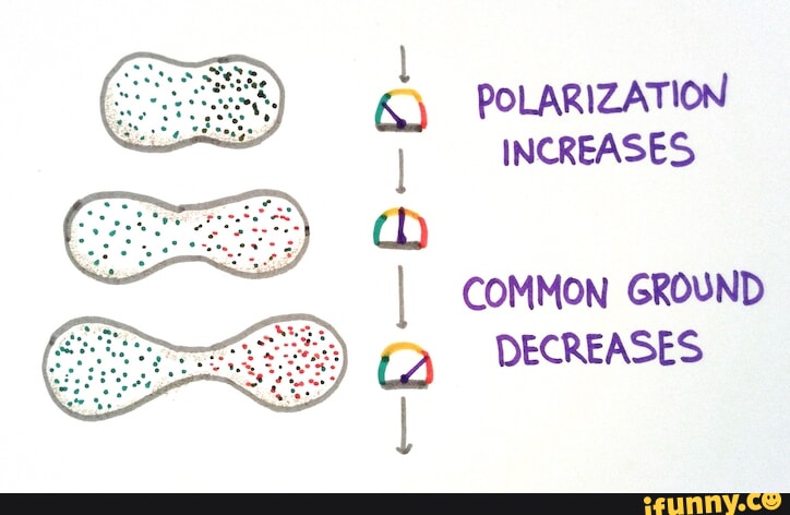 Polarization memes. Best Collection of funny Polarization pictures on ...