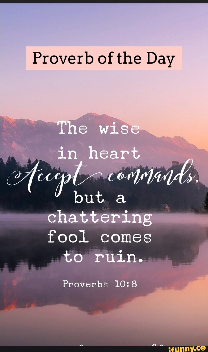 Proverb of the Day 'The wise~_ in heart but a chattering fool comes to ...