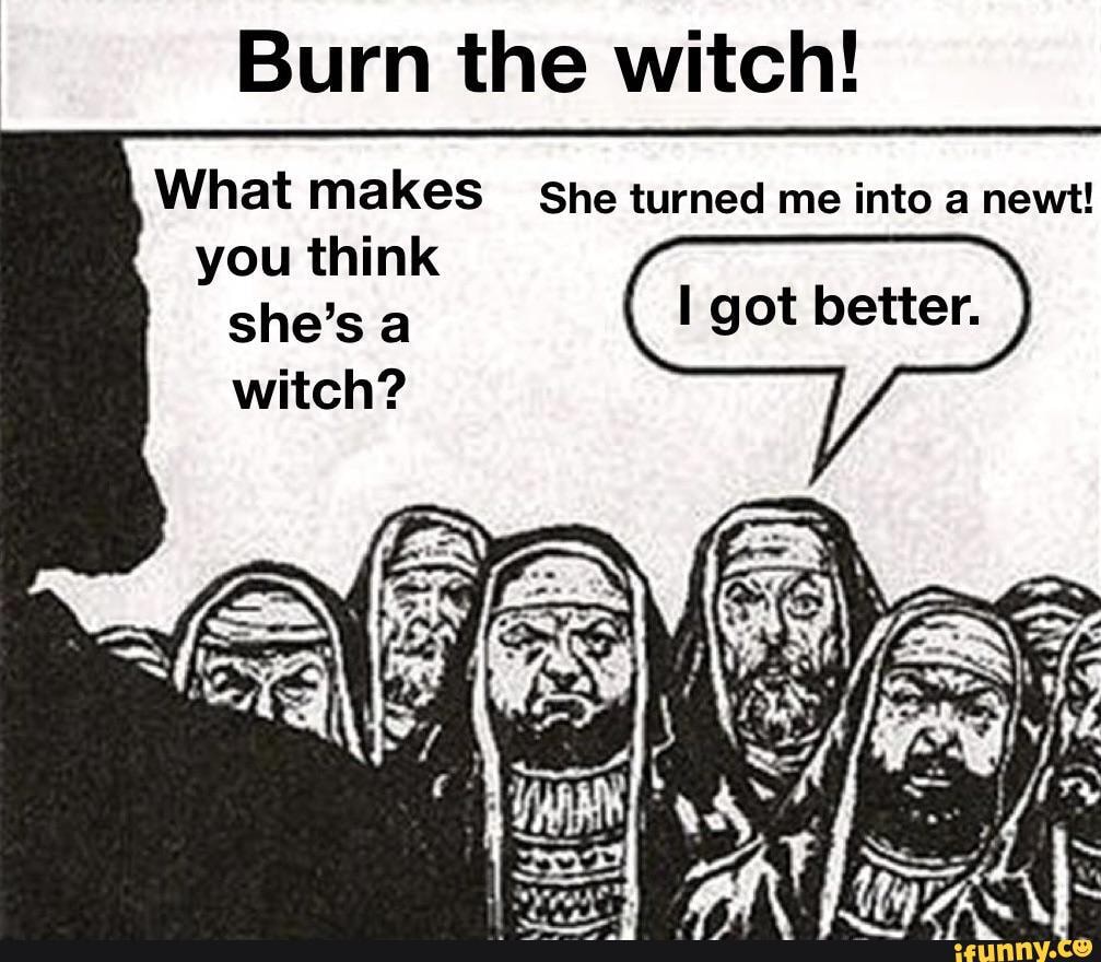 Burn the witch! What makes She turned me into a newt! you think she's a ...