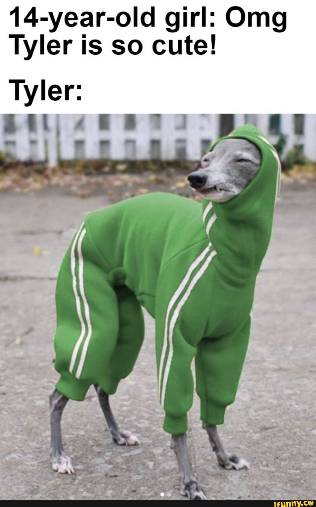 14-year-old girl: Omg Tyler is so cute! Tyler: ff - iFunny