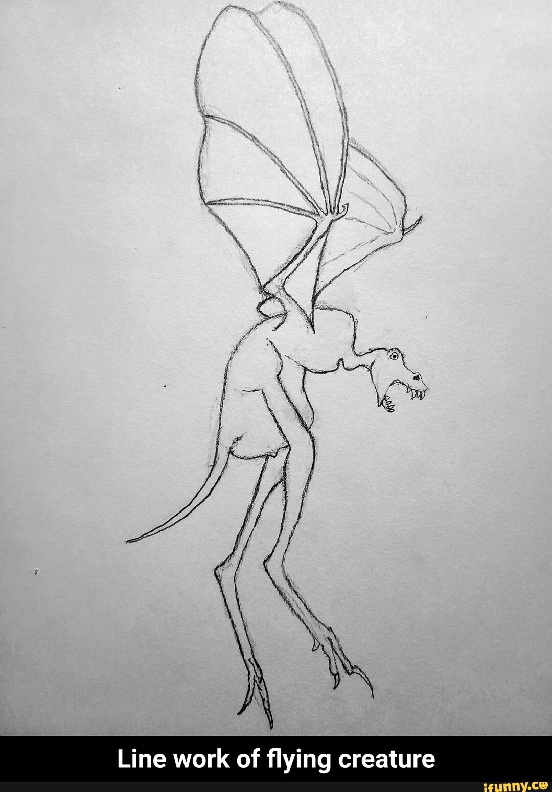 Line work of flying creature - Line work of flying creature - iFunny