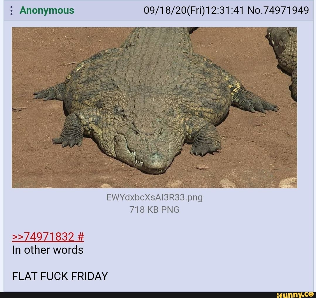 Florbo memes. Best Collection of funny Florbo pictures on iFunny