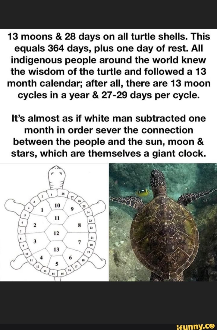13 moons & 28 days on all turtle shells. This equals 364 days, plus one ...