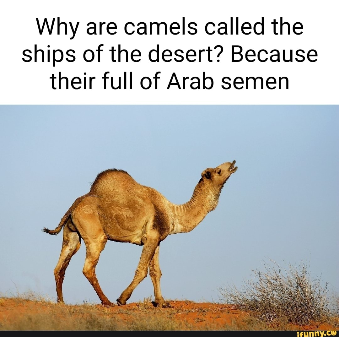 Why are camels called the ships of the desert? Because their full of ...