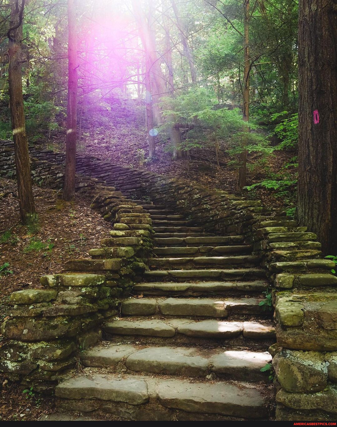 Enchanted staircase in Letchworth State Park. 📷: @jasonathiel # ...
