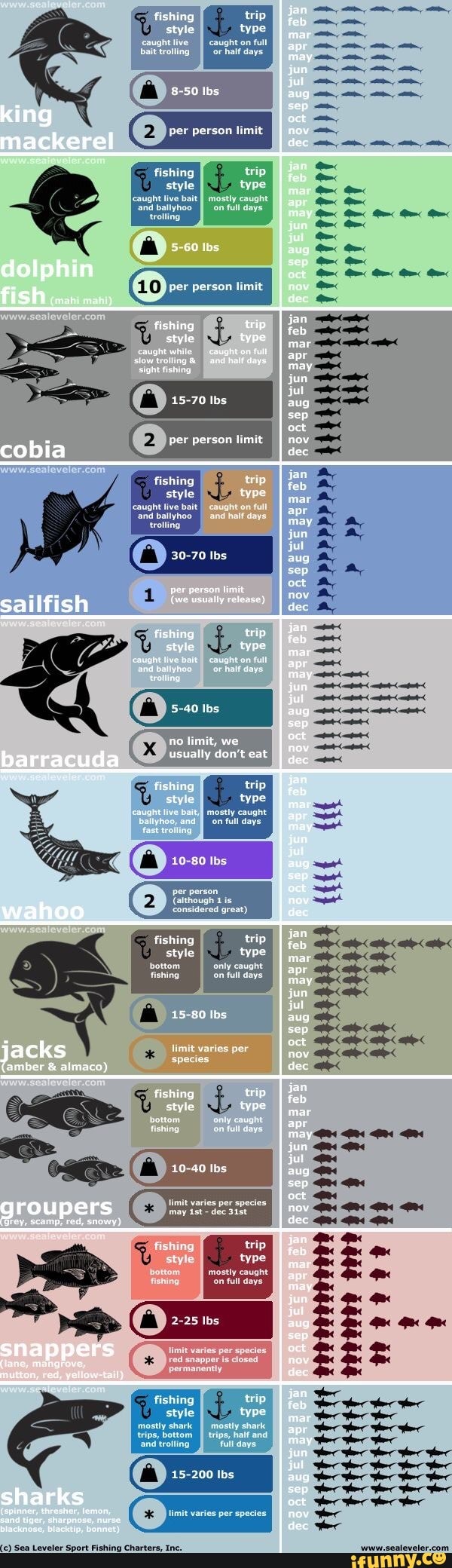 King mackerel cobia sailfish barracuda wahoo jacks amber & almaco ...