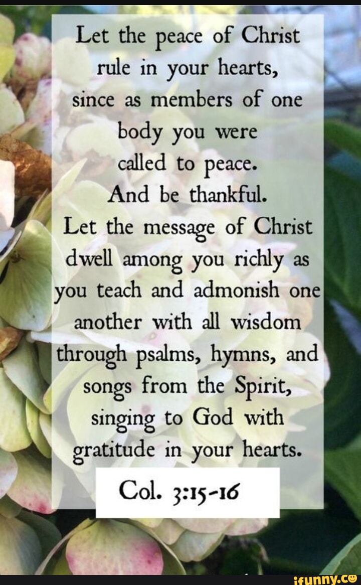 Admonish memes. Best Collection of funny Admonish pictures on iFunny