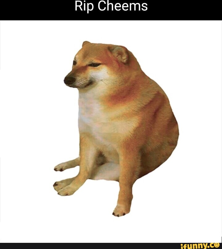 Rip Cheems Qa - iFunny