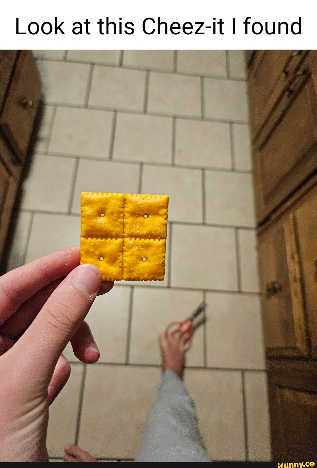 Cheez memes. Best Collection of funny Cheez pictures on iFunny