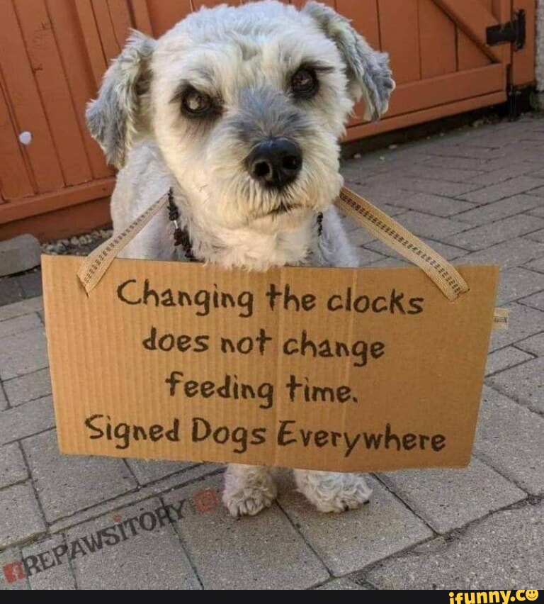 Clocks memes. Best Collection of funny Clocks pictures on iFunny