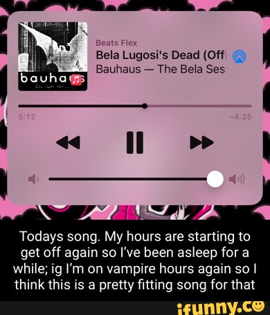 Bauhaus memes. Best Collection of funny Bauhaus pictures on iFunny