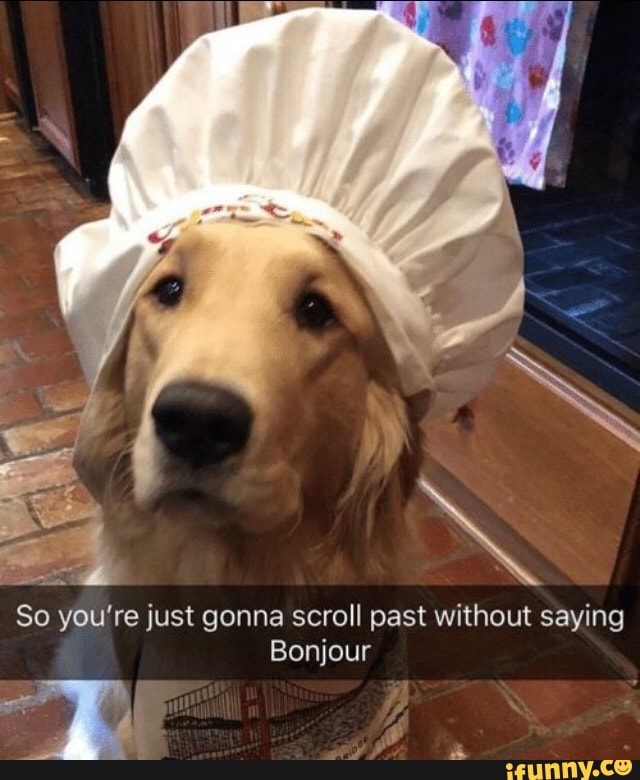 So you're just gonna scroll past without saying Boniour - iFunny