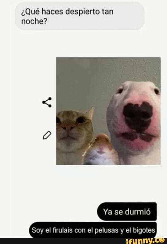 Bigotes memes. Best Collection of funny Bigotes pictures on iFunny