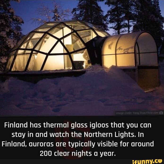 Igloos memes. Best Collection of funny Igloos pictures on iFunny