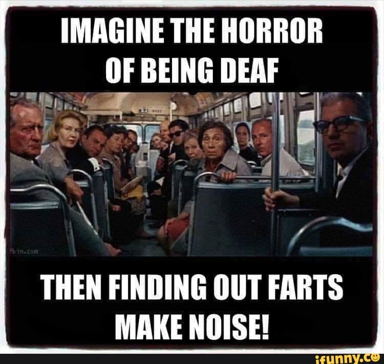 IMAGINE THE HORROR OF BEING DEAF THEN FINDING OUT FARTS MAKE NOISE ...