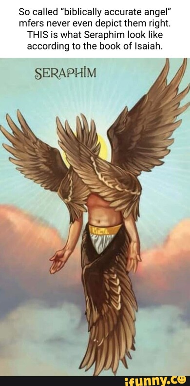 So called "biblically accurate angel" miters never even depict them ...