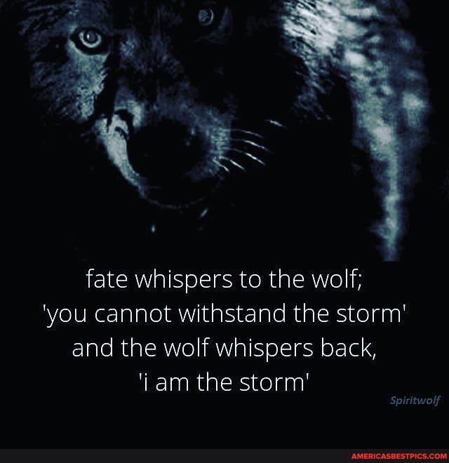 Fate whispers to the wolf; 'you cannot withstand the storm' and the ...