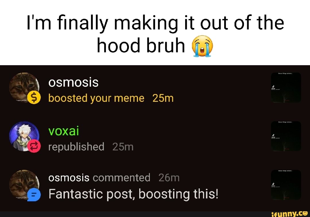I'm finally making it out of the hood bruh osmosis boosted your meme ...