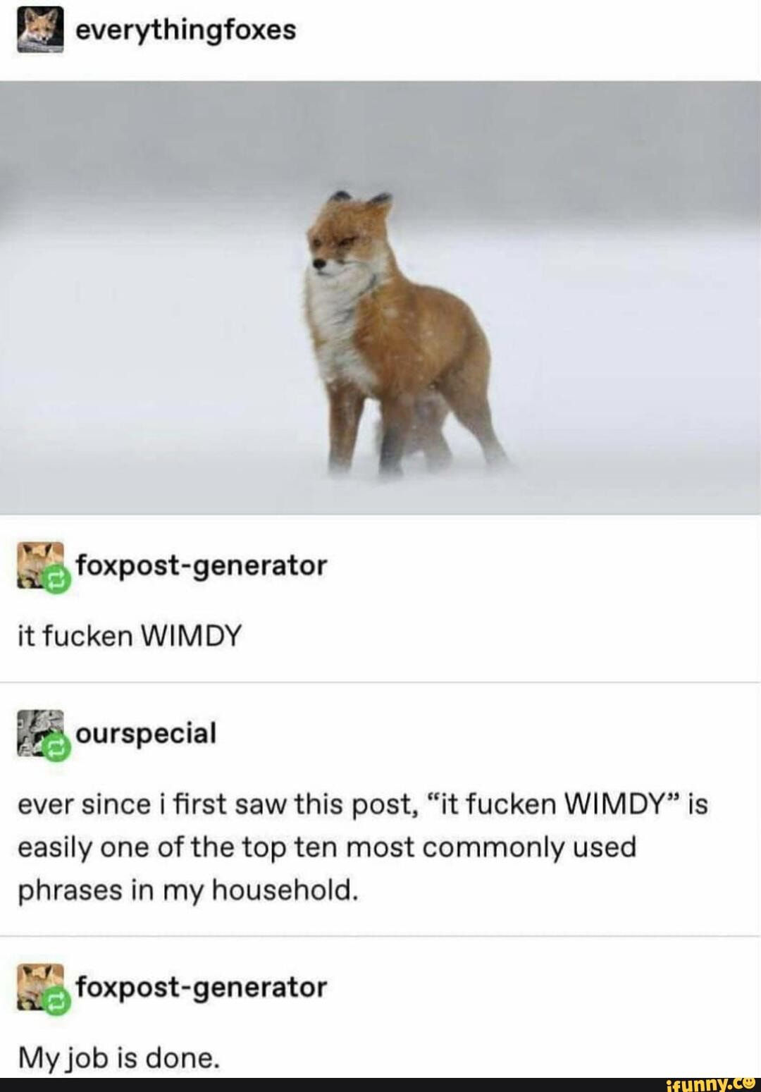 Everythingfoxes memes. Best Collection of funny Everythingfoxes ...