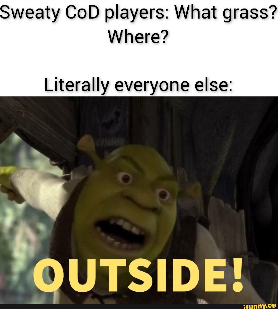 Sweaty CoD players: What grass? Where? Literally everyone else: OUTSIB - )