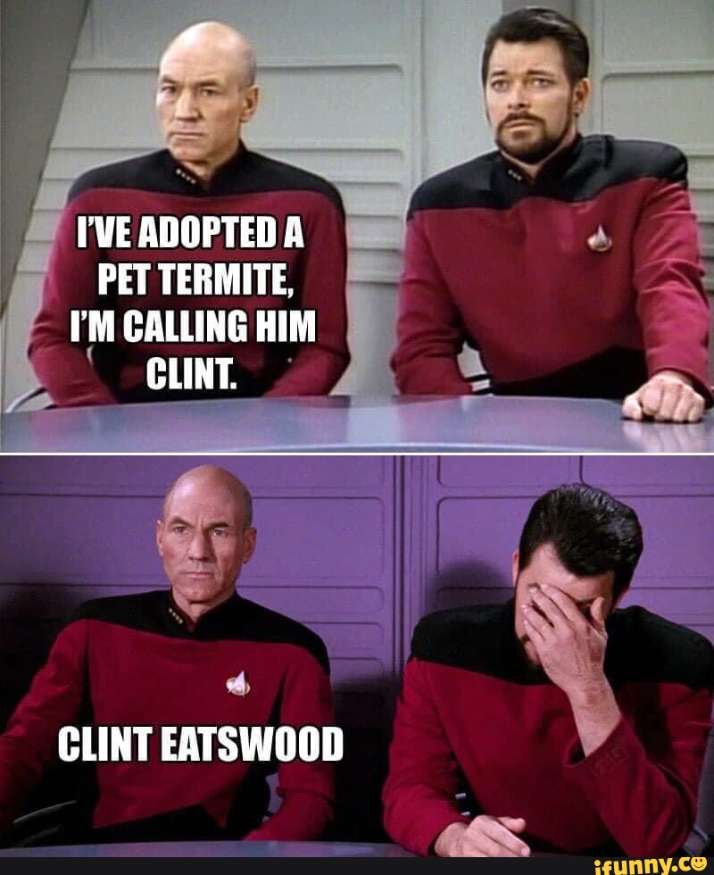 I'VE ADOPTED A PET TERMITE, I'M CALLING HIM CLINT. CLINT EATSWOOD - iFunny