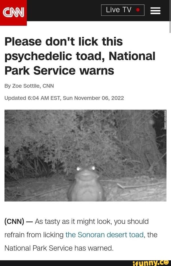 Live Ty I Please don't lick this psychedelic toad, National Park Service warns By Zoe Sottile ...