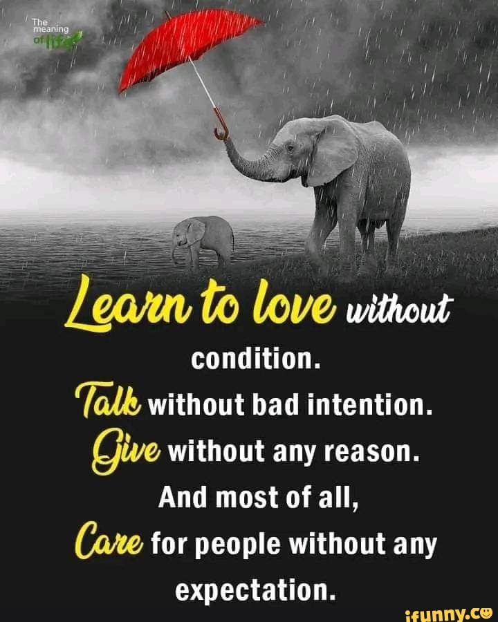 Lean to love without condition. Talk without bad intention. Give ...