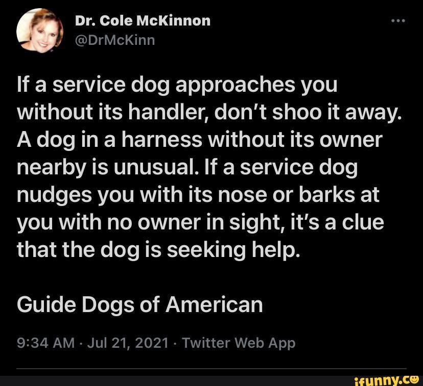 Dr. Cole McKinnon @DrMcKinn If a service dog approaches you without its ...