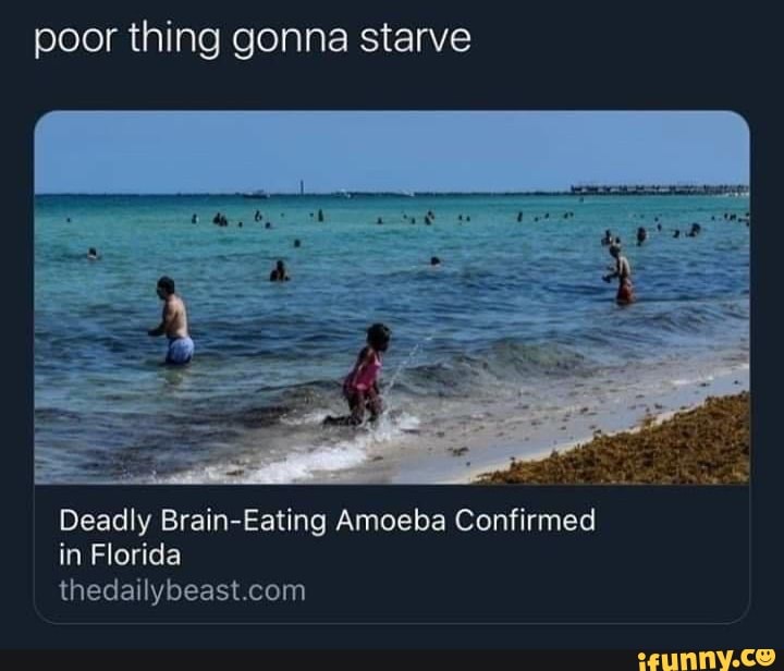 Braineating memes. Best Collection of funny Braineating pictures on iFunny